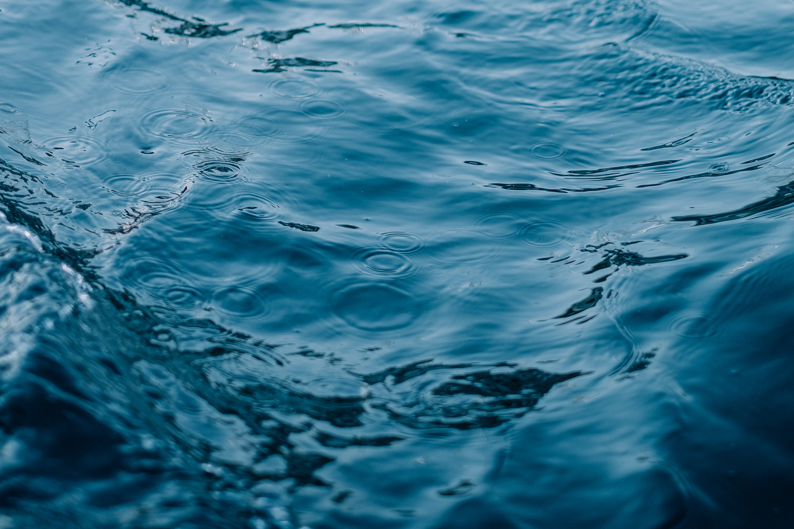 Summary and analysis of the Independent Water Commissions Interim ...